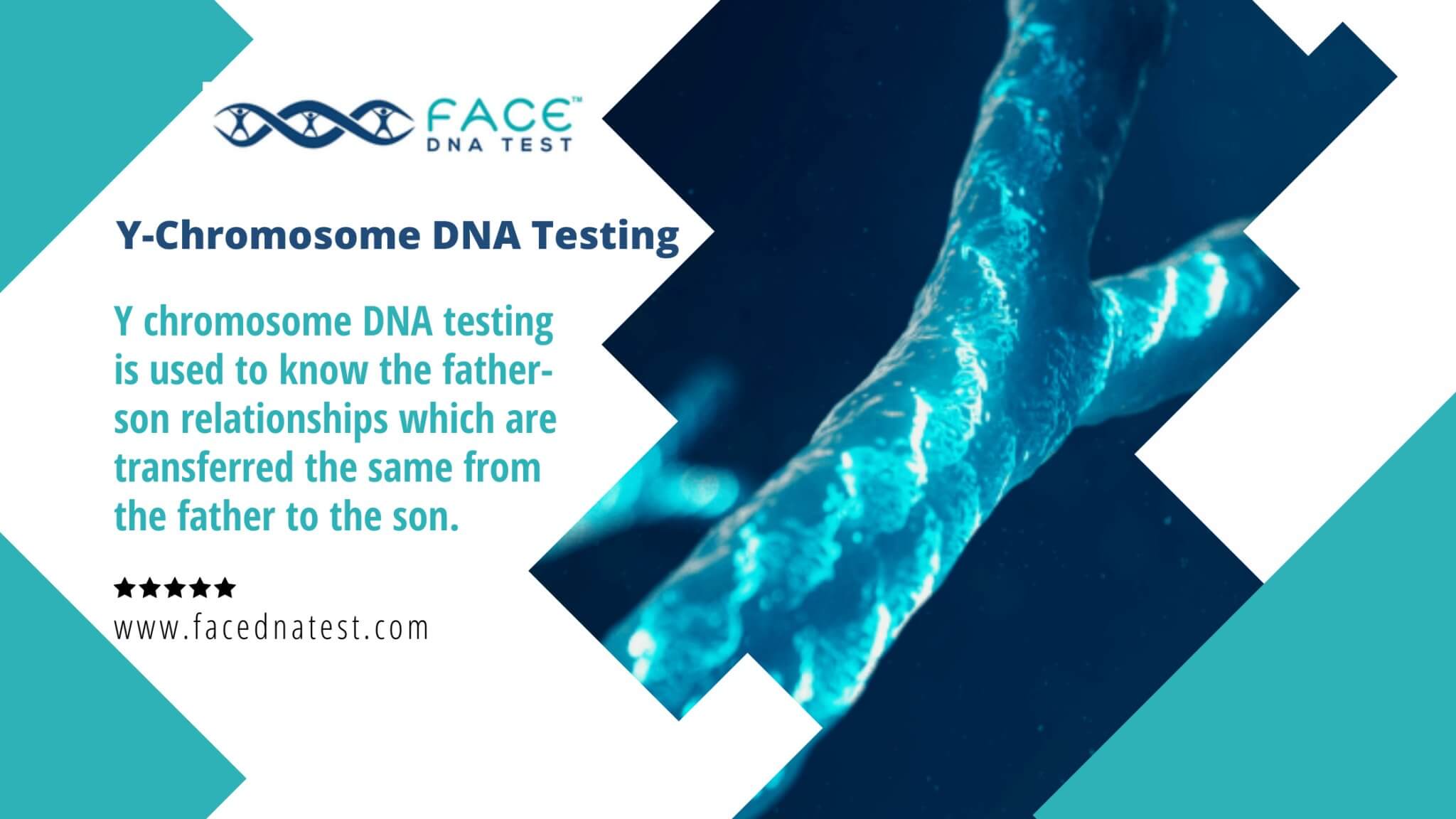 Y-Chromosome DNA testing benefits in Ancestry - Face DNA Test