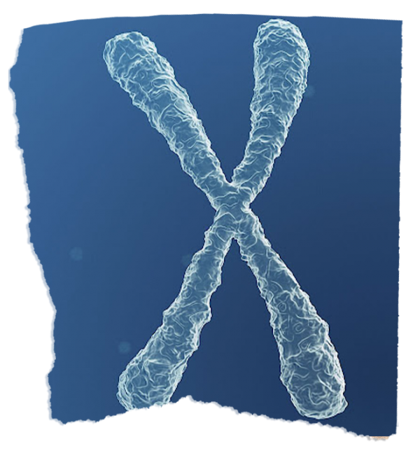 Get Accurate & Reliable DNA Ancestry Test - Face DNA Test