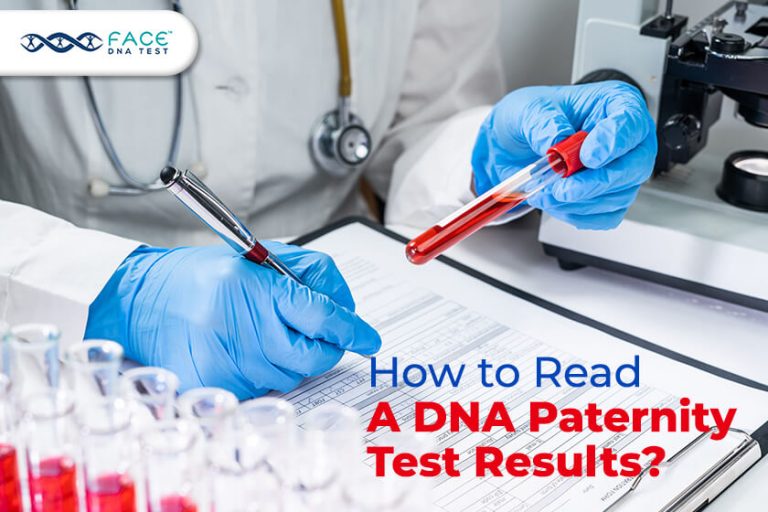 How to Read a DNA Paternity Test Results?