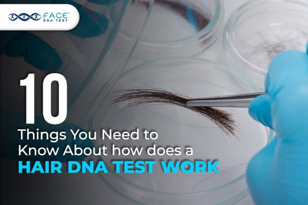 10 Things You Need to Know About Hair DNA Tests