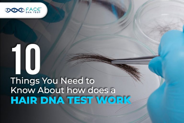 10 Things You Need to Know About Hair DNA Tests